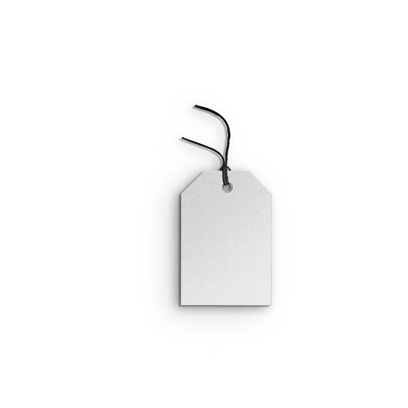 Free Clothing Label Mockup PSD Template - Mockup Den