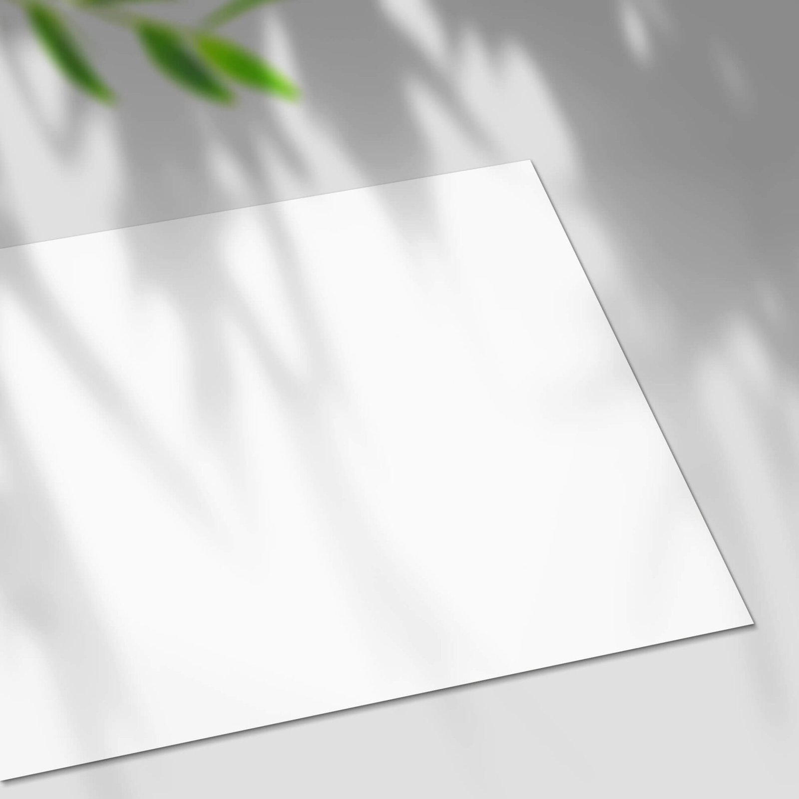 Free Multipurpose Closeup Mockup PSD Template - Mockup Den