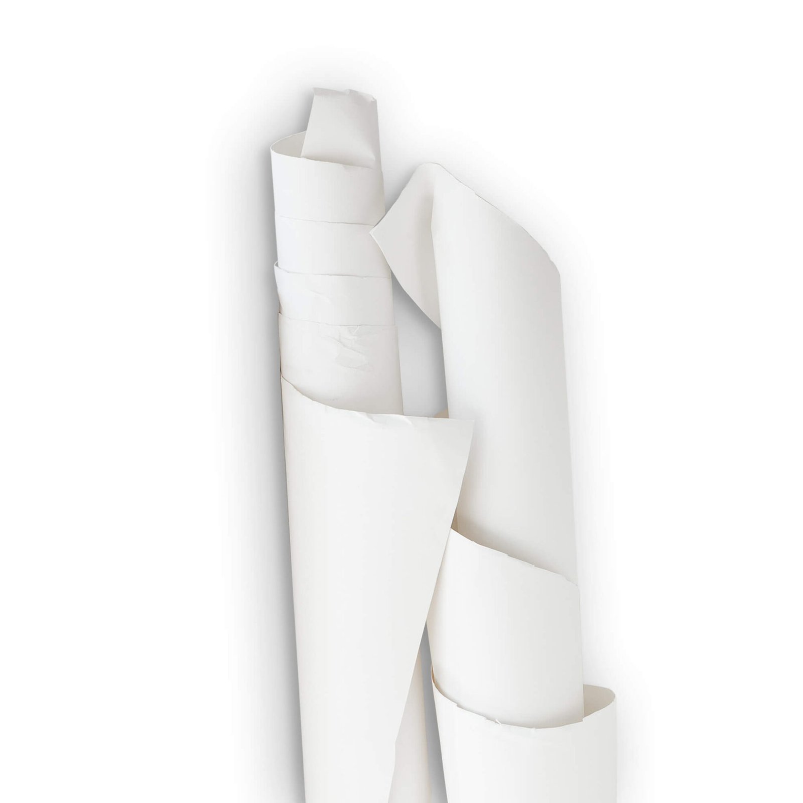 Free Paper Roll Mockup PSD...